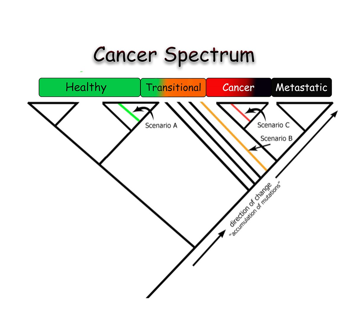 Phyloncology | the fastest, easiest, cheapest, and most accurate cancer ...